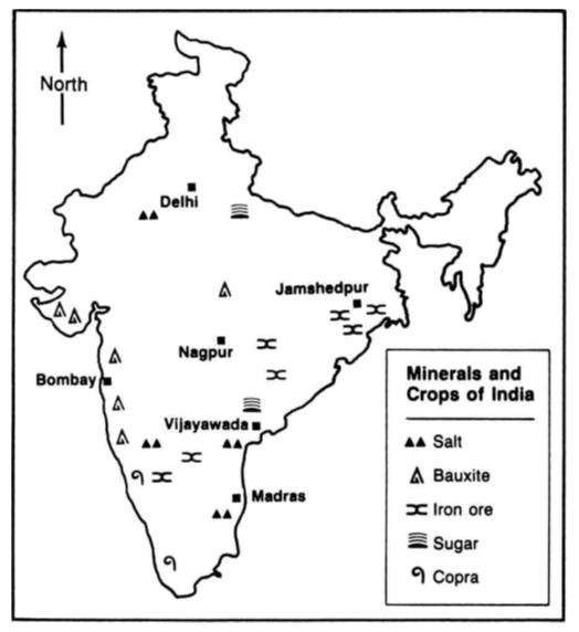 Social Studies Module